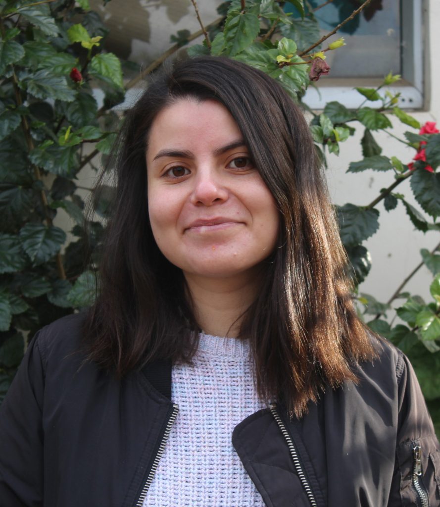 Conoce a nuestros funcionarios